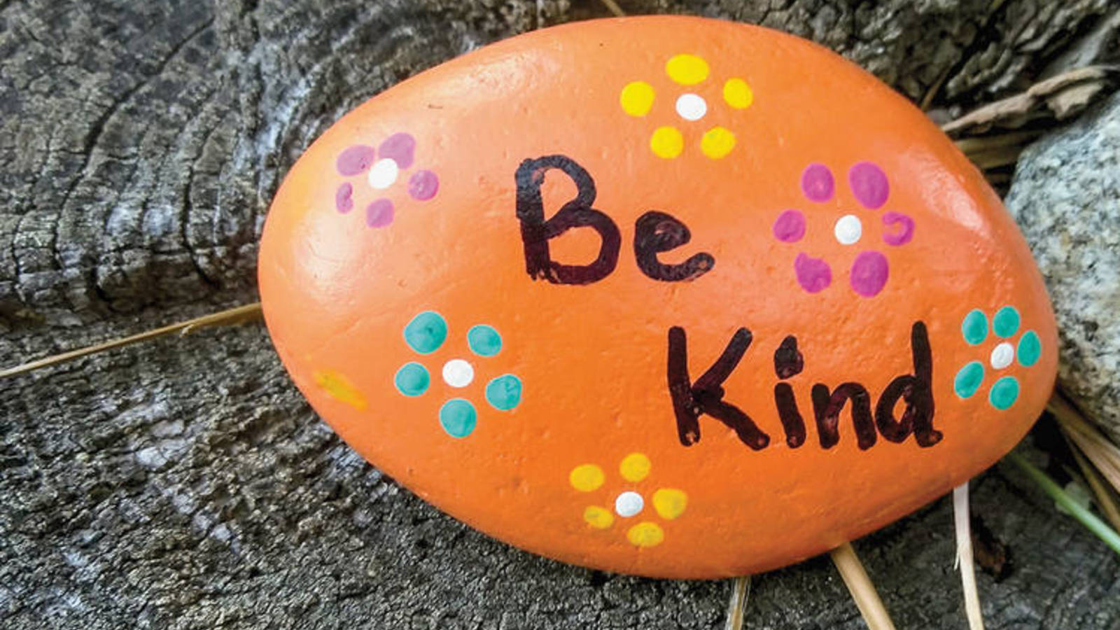 A Complete Guide to Rock Painting and Spreading a Little Kindness Thro ...